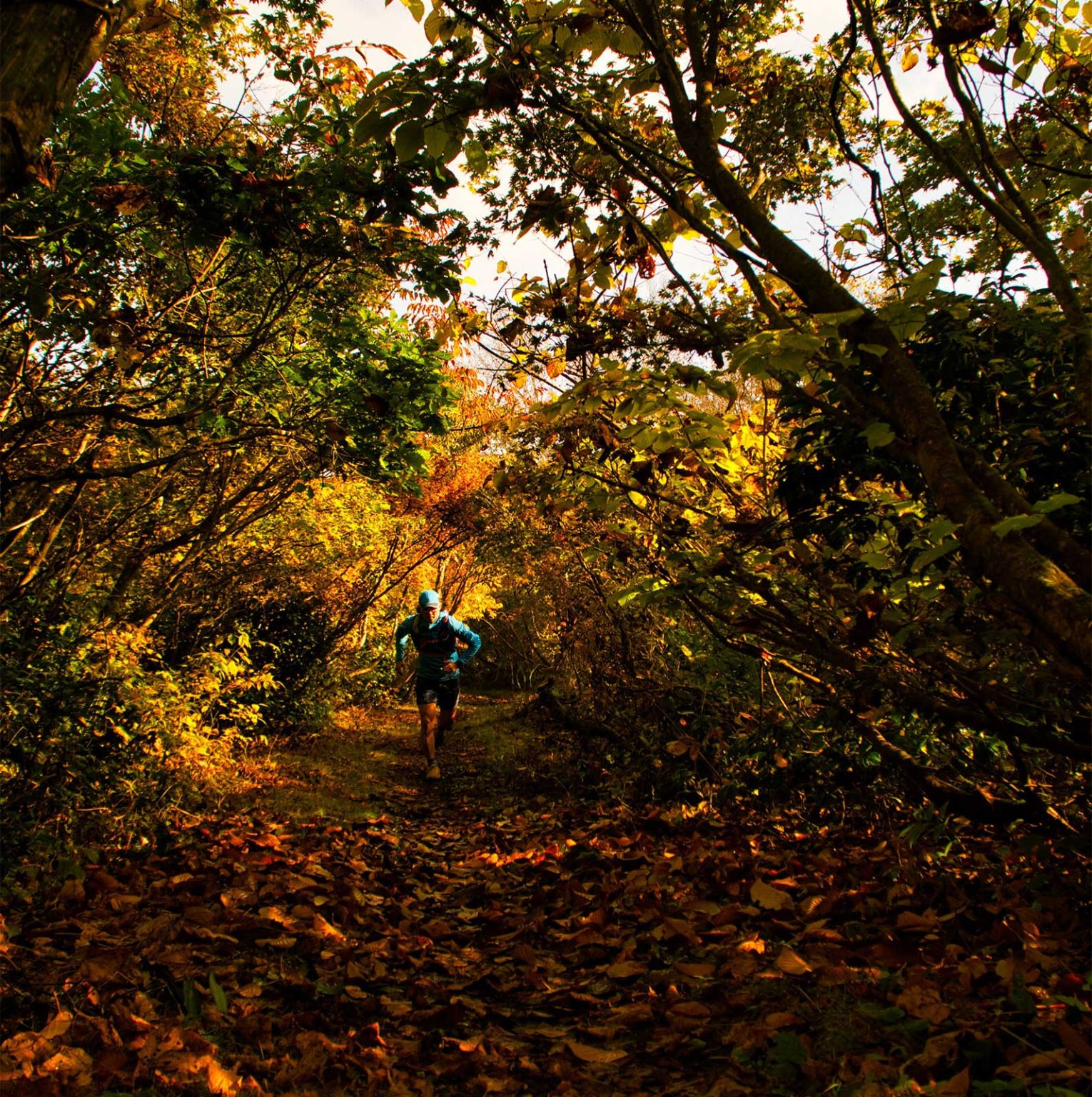石川弘樹プロデュース「 斑尾高原トレイルランニングレース」が6年ぶりに開催 - トレイルランニング総合情報サイト トレイルランナー.JP ...